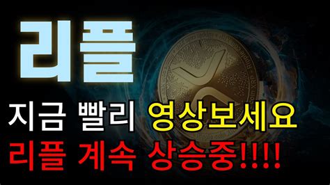 리플 코인 지금 빨리 영상보세요 리플 계속 상승중 Youtube