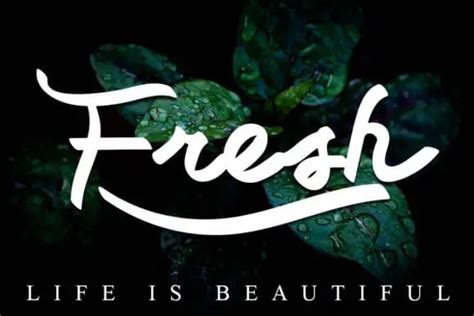 Procreate Font UpFonts