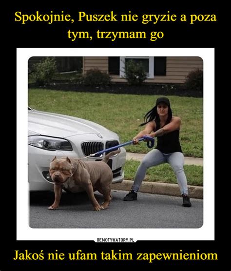 Spokojnie Puszek Nie Gryzie A Poza Tym Trzymam Go Jako Nie Ufam Takim Zapewnieniom