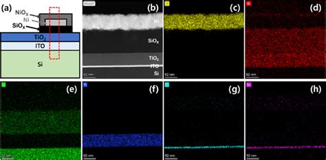 Transmission Electron Microscopy Tem Analysis Of Quasi Interdigitated