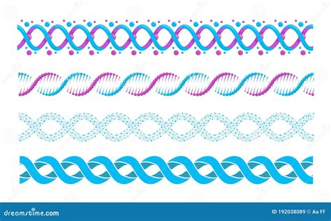 The Structure Of The Chromosome Infographics Vector Illustration On