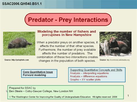 Predator Prey Interactions Modeling The Number Of Fishers And