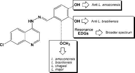 Substituent Effect On Antileishmanial Activity Of Quinolinylhydrazones