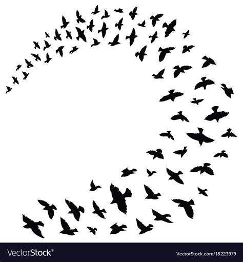 Silhouette A Flock Birds Black Contours Of Vector Image