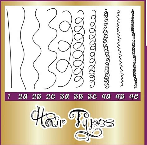 Natural Hair Curl Pattern Natural Hair Types Hair Type Chart Curly
