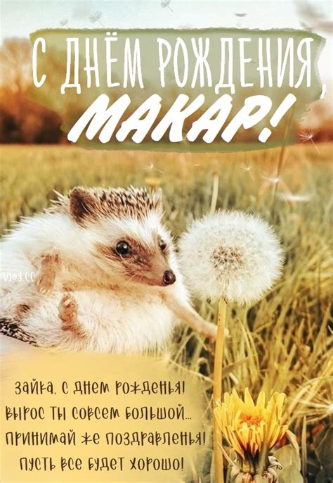Детские картинки - С днем рождения, Макар! (35 фото)