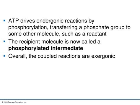 6 An Introduction To Metabolism Ppt Download