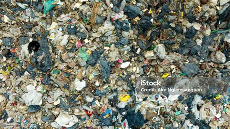 쓰레기 더미 페트병 쓰레기 폐기물 분리수거시설 환경을 보전하고 세상을 살리기 위한 폐기물 처리 및 폐기물 분리의 개념 0명에 대한 스톡 사진 및 기타 이미지 Istock
