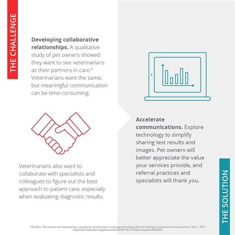 Infographic Reducing Employee Burnout In Veterinary Medicine