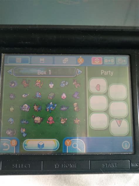 [usum] Just Demolished Olivia Finishing Everything On Akala Before