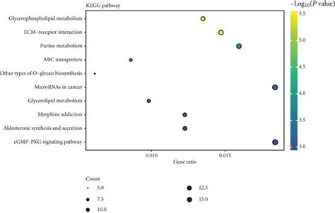 gene ontology and kegg analysis of comparing c57b l different day old