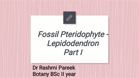 Lepidodendron Fossil Pteridophyte Part I Bsc Ii Year Youtube