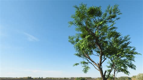 Photorealistic Leaf Shader Materials And Textures Blender Artists