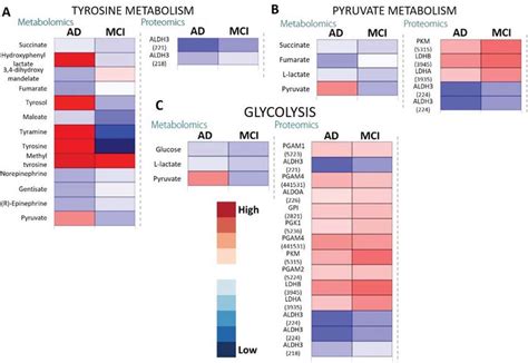 Heatmaps Showing Metabolomic And Proteomic Expressions During A