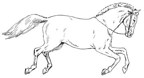 6 Horse Clipart Black And White Preview Horse Clip Art Bl