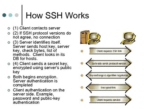 Secure Shell Ssh Tam Ngo Steve Licking