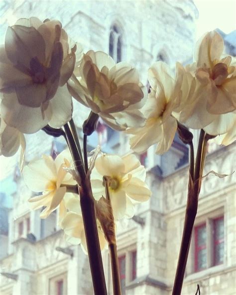 ဘယ်လ်ဂျီယမ်နိုင်ငံရဲ့ သမိုင်းတွေထဲက ထင်ရှားတဲ့ ရှေးဟောင်းမြို့ကြီး ဂင့်မြို့ Myanmarload