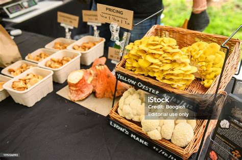 포틀랜드 오리건 파머스 마켓에 전시된 버섯 품종 포틀랜드 오리건에 대한 스톡 사진 및 기타 이미지 포틀랜드 오리건 균류