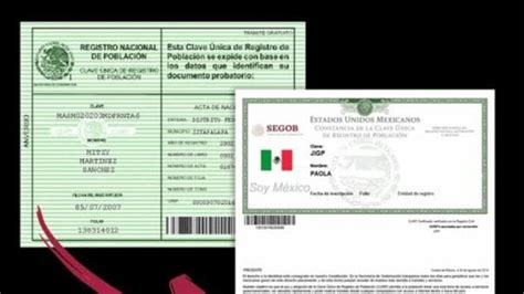 ¿problemas Para Descargar Tu Curp Te Decimos Cómo Solucionarlo