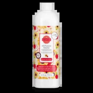 NEW SQUEEZE THE DAY SCENTSY CLEAN BUNDLE Incandescent Scentsy Us