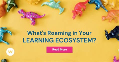 What S In Your Learning Ecosystem OVERVIEW Watershed