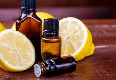 Misitano And Stracuzzi Avvia La Quotazione In Borsa Efa News European Food Agency