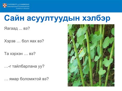 Идэвхтэй сургалтын арга ба явцын үнэлгээ Pptx