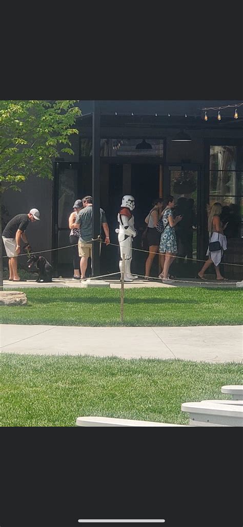 Just Your Average Day At The Treehouse Brewery R Pics