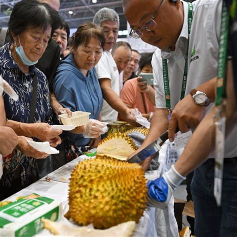 Who Will Be Chinas Durian King When The Market Expands Do Philippines