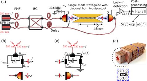 A Experimental Setup Pmf Polarization Maintaining Fibres Thorlabs Download Scientific