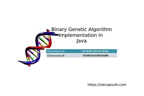 Genetic Algorithm Simple Implementation In Javabinary Ioe Capsule