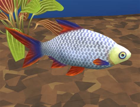 Tinfoil Barb Megaquarium Modded Content Wiki Fandom