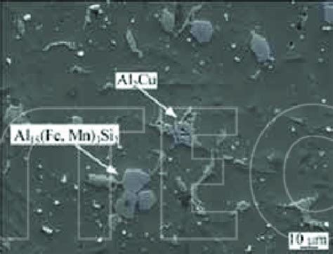 Sem Image Showing Main Intermetallic Phases In Microstructure 17