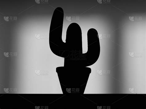 住宅内部 仙人掌 华丽的 概念和主题 窗户 美国 水平画幅 无人 单色调 黑色
