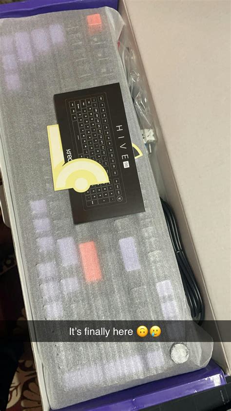 Hive Full Size Black Purple Wired Gaming Keyboard