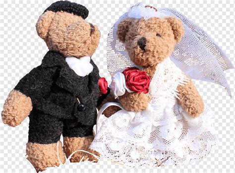 결혼식 장난감 테디 곰 Png Pngwing