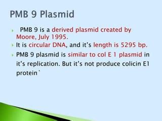 Bacterialplasmids Pptx Biological Sciences Science