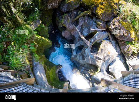 The Chasm Milford Sound Fiordland National Park South Island New