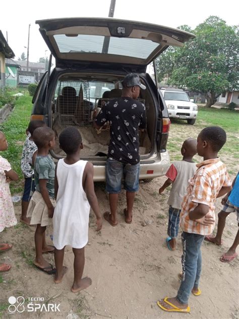 Chicken Project 669 683 Seventh Day Adventist Orphanage Home A