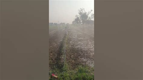 Jamidar Se Beran Shortvideo Aliyaofficial Varalvideo Youtube