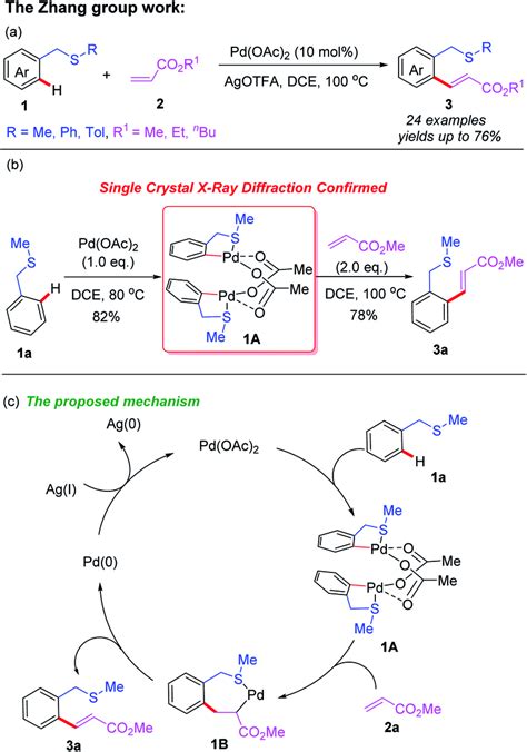 A Thioether Directed Pdii Catalyzed Csp²h Olefination Of