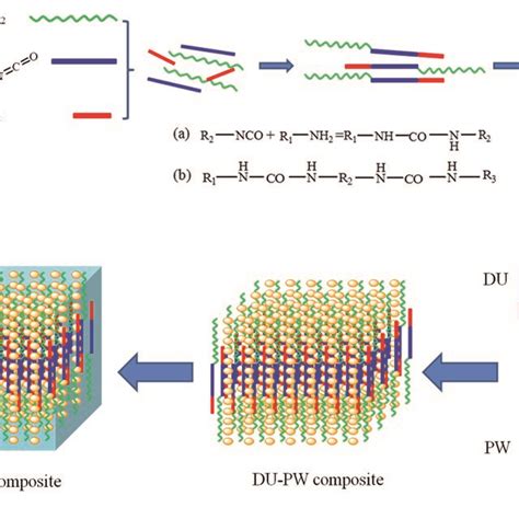 Schematic Illustration Of The Synthesis Process Of Du Pw Htpb Binder Download Scientific