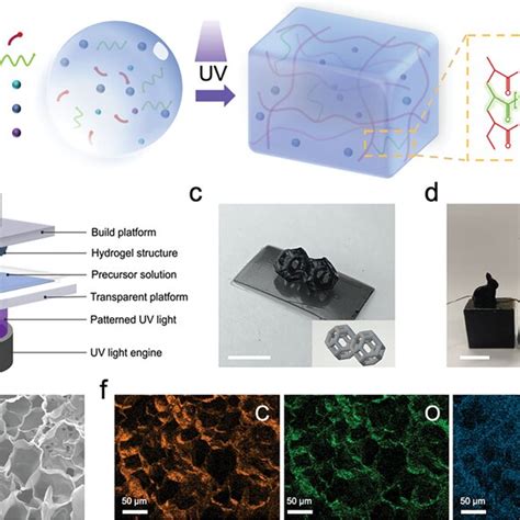 A Chemicals Used In The Preparation Of The Pl Hg Precursor Solution