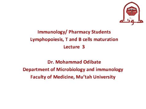 Immunology Pharmacy Students Lymphopoiesis T And B Cells