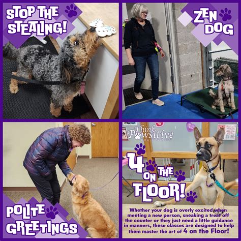 4 On The Floor Classes Think Pawsitive