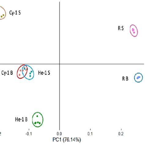 2d Pca Test Result Of Robusta Coffee Cy 1b Cylindrical Chamber Download Scientific Diagram