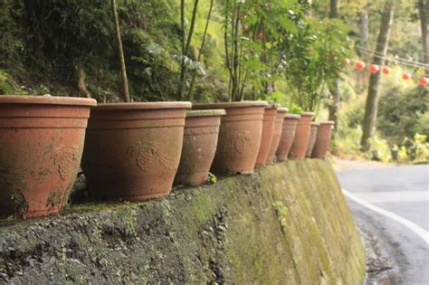 Premium Photo Close Up Of Potted Plants On Retaining Wall