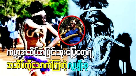 ကမ္ဘာ့အဆိပ် အပြင်းဆုံးမြွေတွေ ရဲ့ အဆိပ်ကိုသောက်ကြတဲ့လူမျိုးစု Youtube