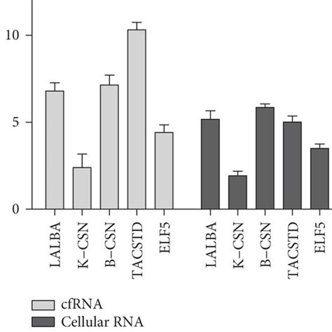 Identification Of The Existence And Stability Of CfDNA In Human BM A Download Scientific
