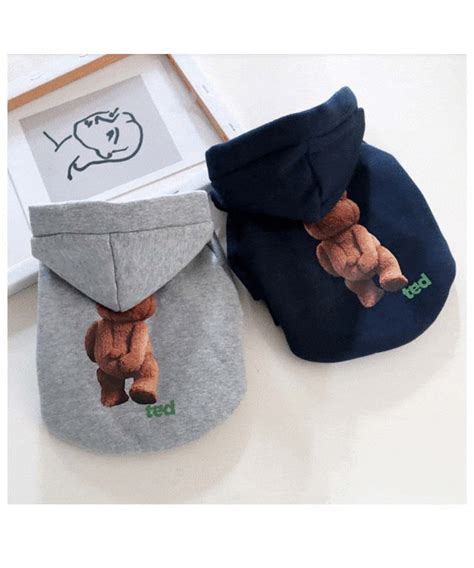 부끄 곰돌이 단추 기모후드 잠바 강아지겨울옷 애견기모옷 반려견 티셔츠 Xs Xl